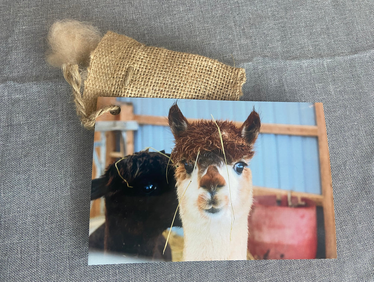 Piece of the farm – Pacalaca Farm